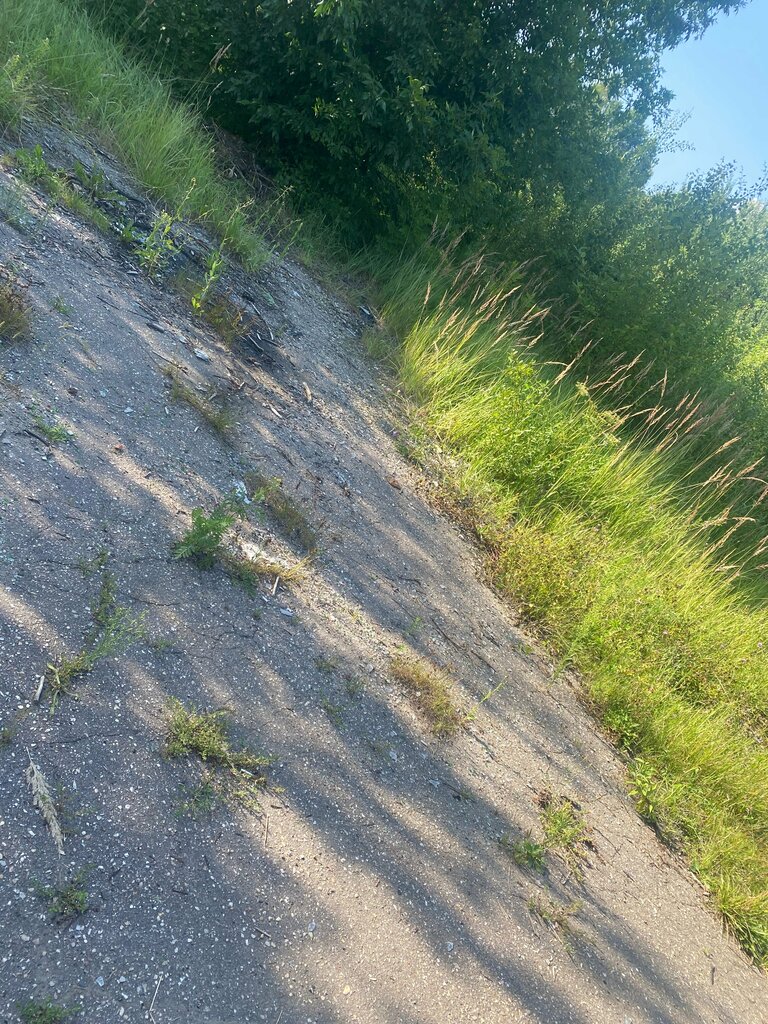 Plaj Пляж, Moskova ve Moskovskaya oblastı, foto