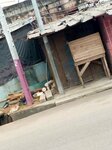 Chez Adebayor (Rue Akoundje Jacques No:764, La commune Attécoubé), bilgisayar aksesuarları  Abican'dan