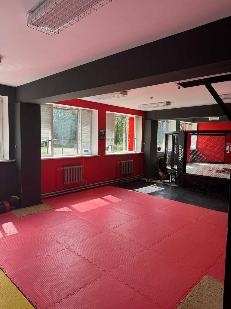 Spor kulüpleri Витязь, Moskova ve Moskovskaya oblastı, foto