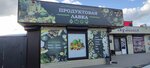 Продуктовая лавка (Sovetskaya ulitsa No:20Б, selo Yamnoye), market  Voronejskaya oblastından