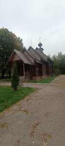 Церковь Матроны Московской (Tula Region, Schyokinskiy District, selskoye poseleniye Yasnopolyanskoye, posyolok Golovenkovskiy), ortodoks kiliseleri  Tulskaya oblastından