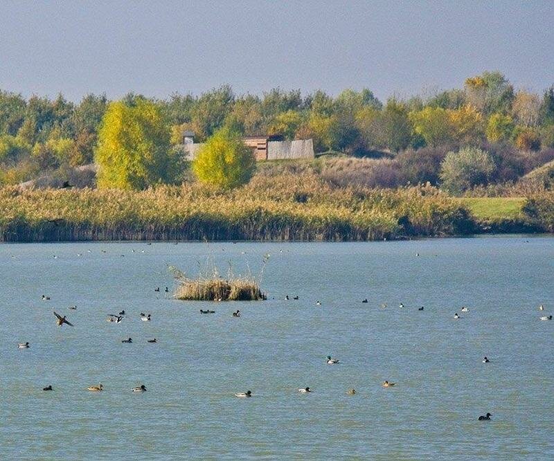 Arazi dizisi Consorzio della Bonifica Burana, Emilia‑Romagna, foto