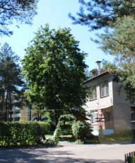 Anaokulları Detsky sad № 104, Vladimir, foto