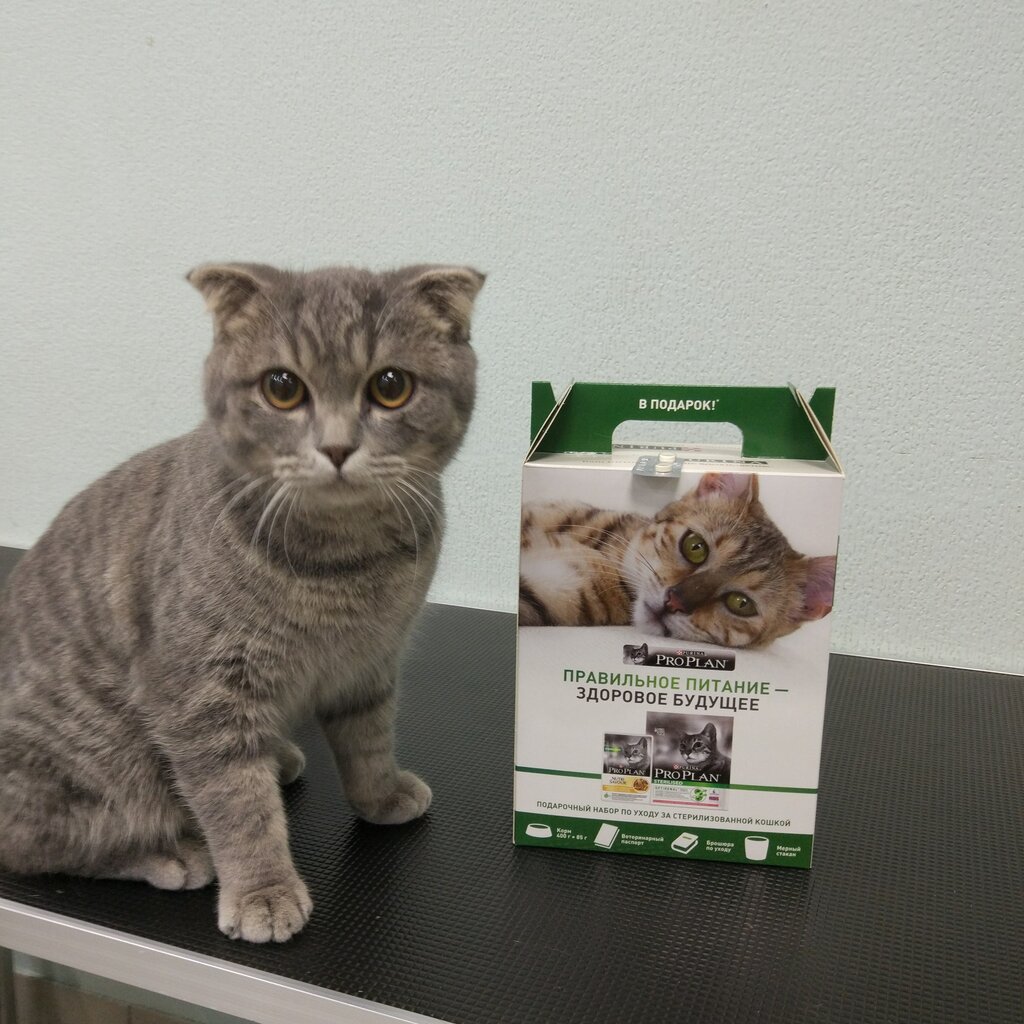 Veteriner klinikleri Veterinarny tsentr Doveriye, Irkutsk, foto