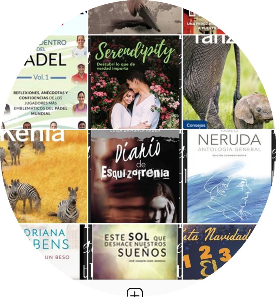 Kitap mağazaları Librería Ofican, Kanarya Adaları, foto