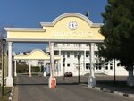 Династия (Turisticheskaya ulitsa No:12), bina, site yönetimi  Gelencik'ten