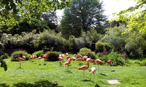 Ménagerie le zoo du Jardin des Plantes (Paris, Jardin des plantes), hayvanat bahçeleri  Paris'ten