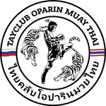 Thai Boxing Club (Kosmodamianskaya Embankment No:40-42с3), spor kulüpleri  Moskova'dan