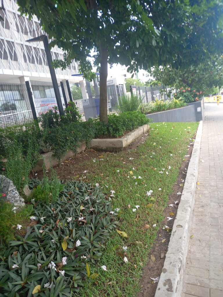 Devlet kurumları ve bakanlıklar Stanchart Head Office, Akra, foto
