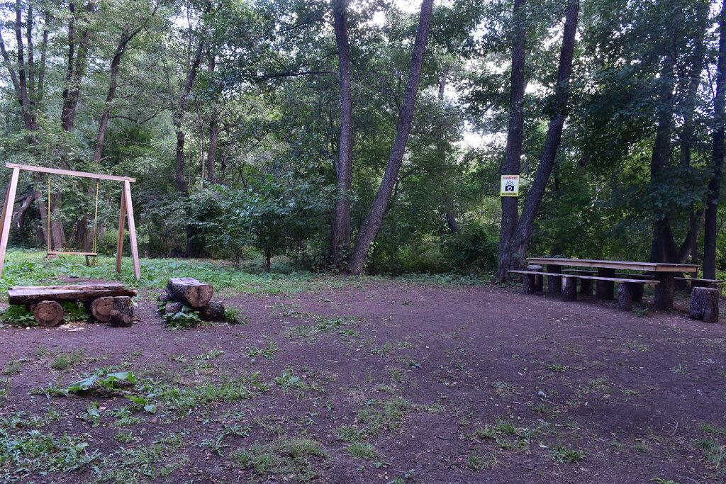 Doğa Урочище Козлоуха, Orenburgskaya oblastı, foto