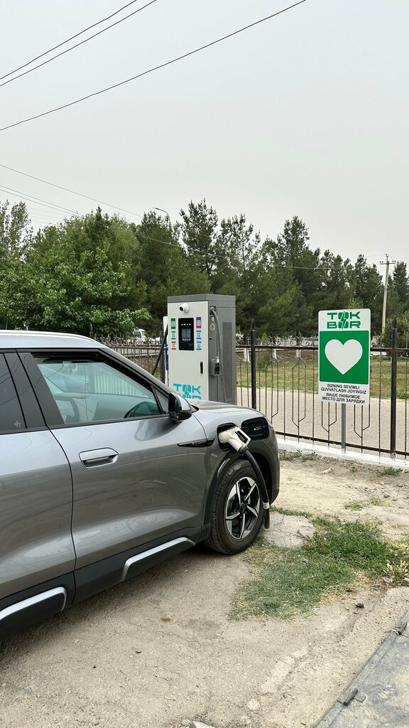 Elektrikli oto şarj istasyonları Tok Bor, , foto