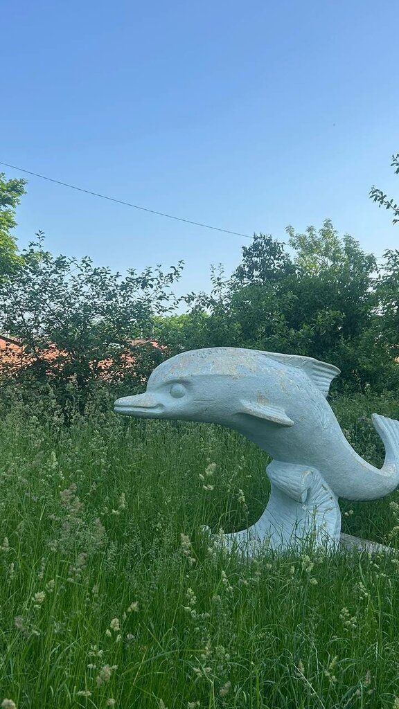 Park, sokak heykeli Дельфин, Gomel, foto