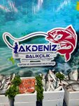 Gaziantep Balık Pazarı (Gaziantep, Şahinbey, Binevler Mah., Fıstık Araştırma Sok., 1O), avcılar ve balıkçılar  Gaziantep'ten