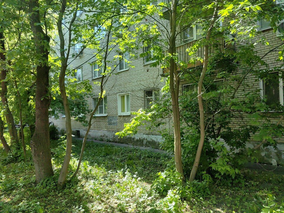 Baskı hizmetleri Online Типография Пушкино, Puşkino, foto