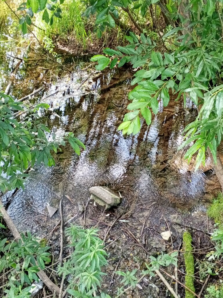 Pınar, çay Spring, stream, Solikamsk, foto