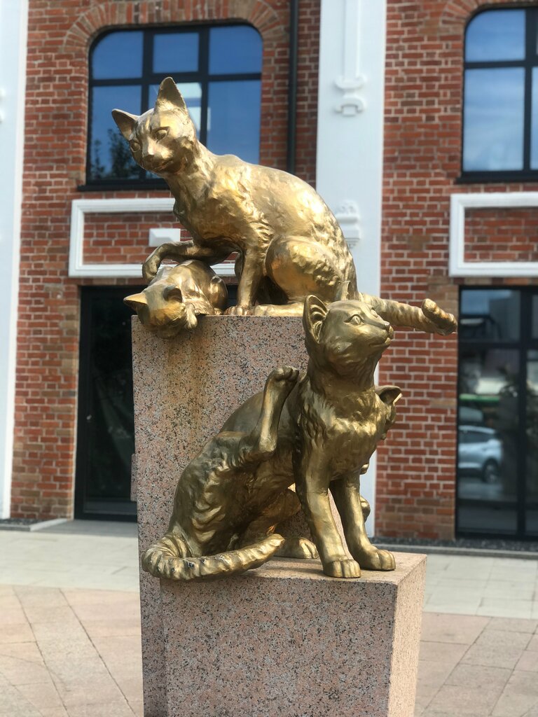Meydan сквер Сибирских кошек, Tiumen, foto