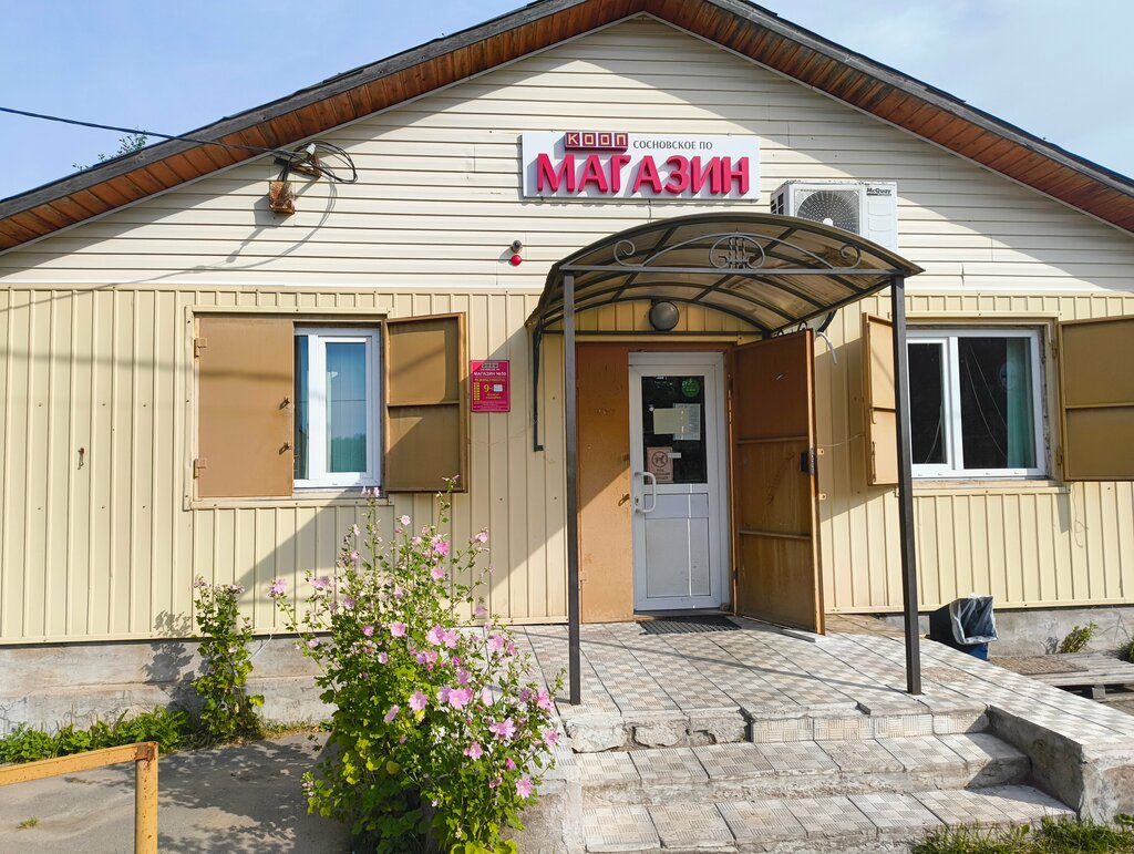 Mini-market Смешанные товары, Saint‑Petersburg ve Leningradskaya oblastı, foto