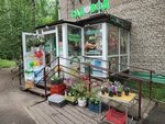 Садовод (Khabarovskaya ulitsa No:161), bahçecilik mağazaları  Perm'den