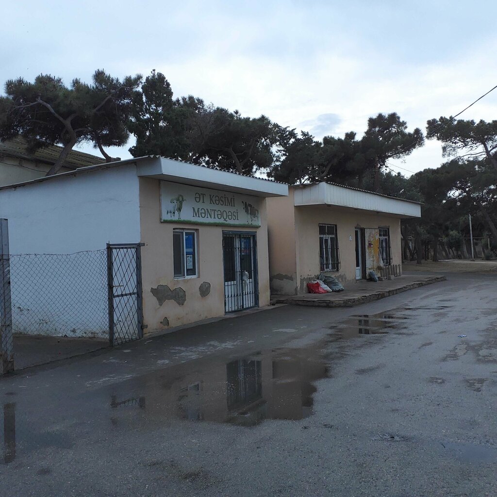 Manavlar Meyve ve terevez, Dünya, foto