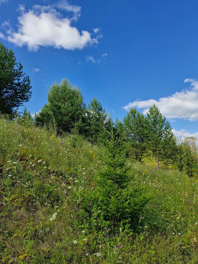 Ortodoks kiliseleri Часовня Николая Чудотворца, Permski krayı, foto