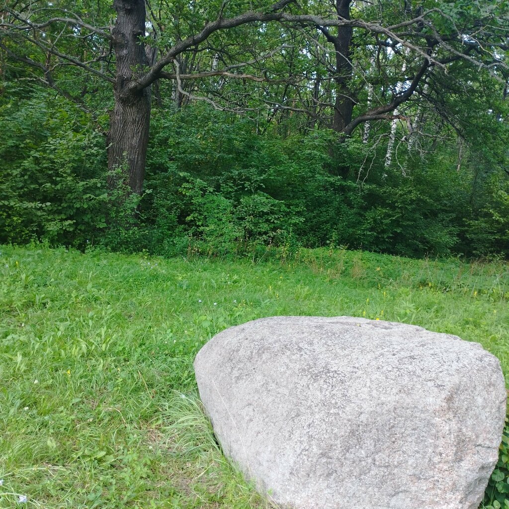 Anıt levhası, anıt taş Памятный камень в честь М.Ю. Лермонтова, Penzenskaya oblastı, foto