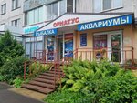 Ornatus (ulitsa Rylenkova No:6), petshop  Smolensk'ten