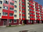 Çeviri Bürosu (Priozyornaya ulitsa No:29), tercüme büroları  Niagan'dan