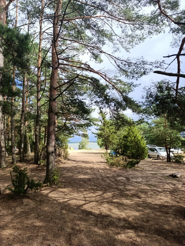 Kamp alanları Тихое место, Minskaya oblastı, foto