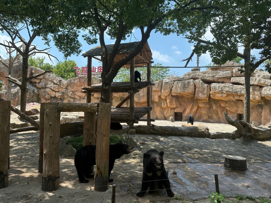 Metro istasyonu Wild Animal Park metro station, Şanghay, foto