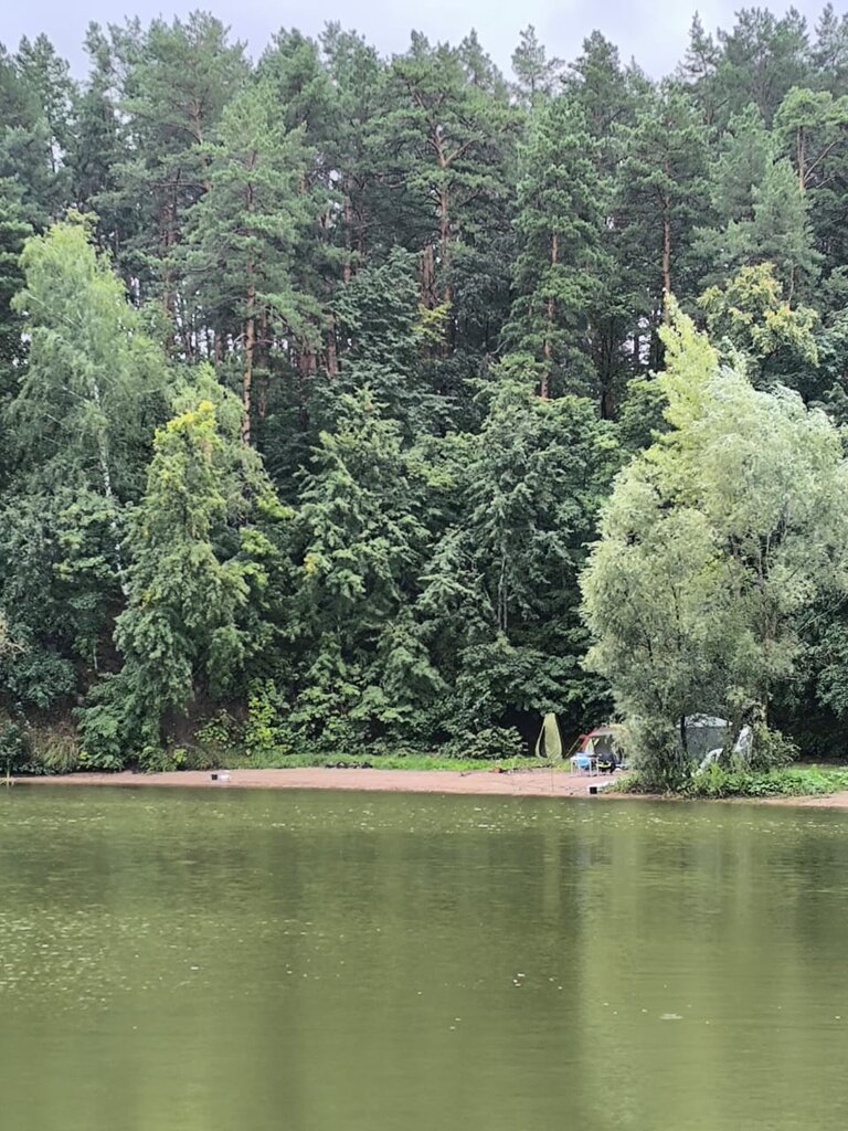 Plaj Пляж, Ulyanovskaya oblastı, foto