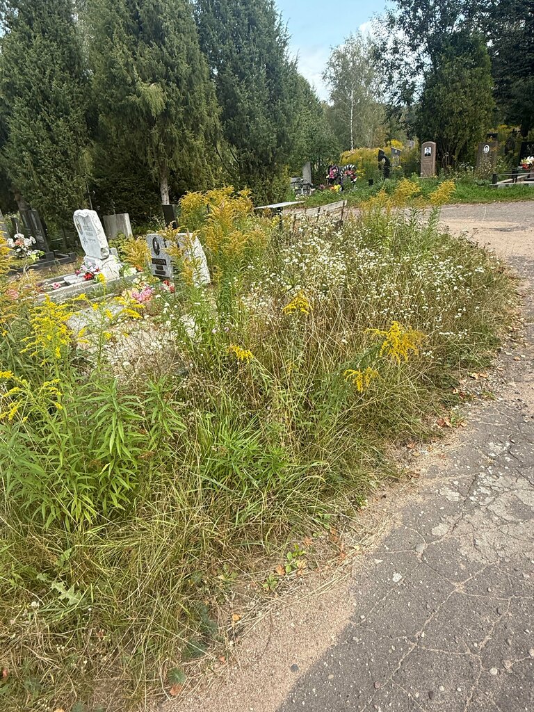 Mezarlıklar Paŭnočnyja mohilki, Minskaya oblastı, foto