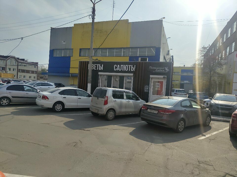 Havai fişek firmaları Салюты Цветы, Çeliabinsk, foto