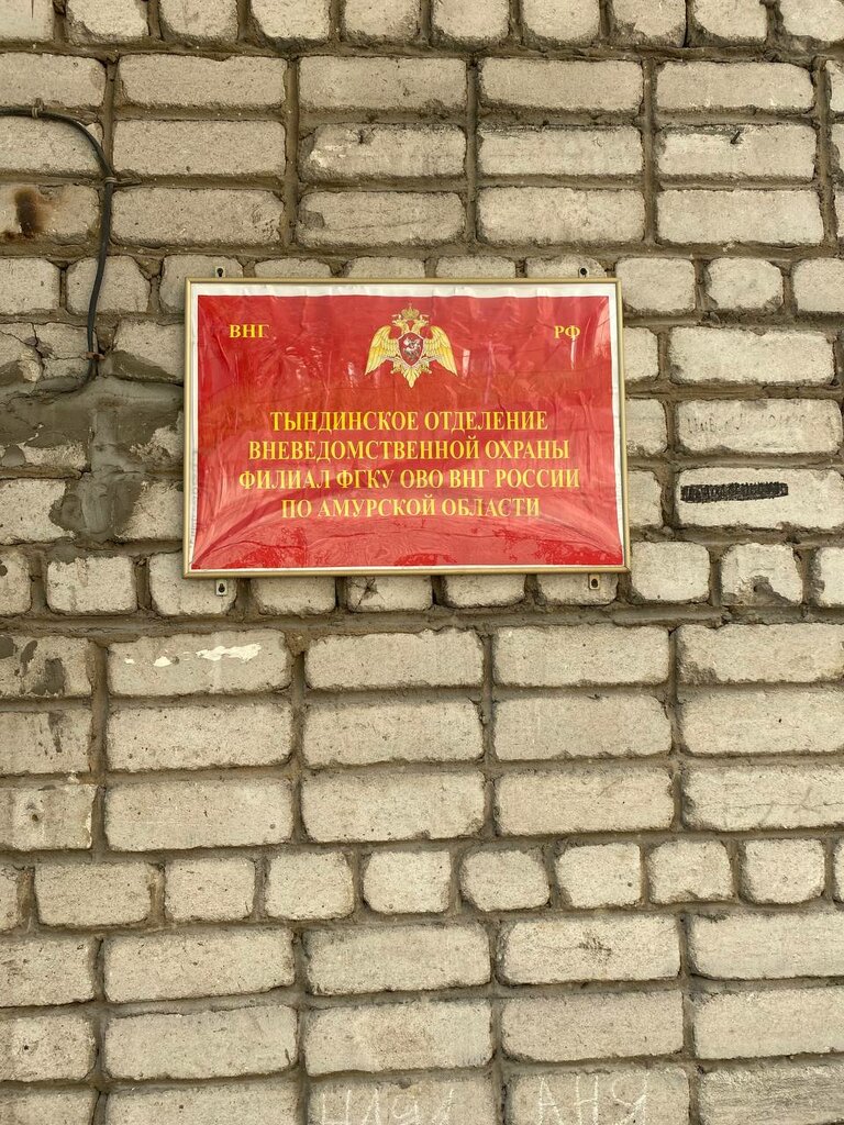 Özel güvenlik Tyndinsky filial Fgku Uvo Umvd Rossii po Amurskoy oblasti, Tynda, foto