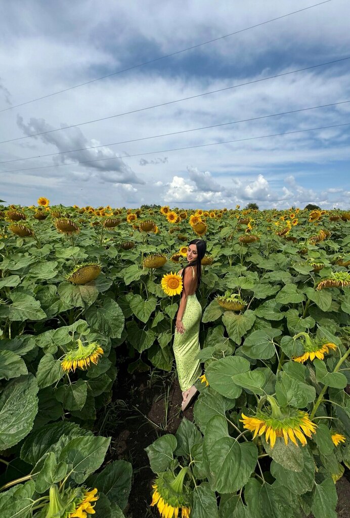 Tohum üretimi Регион Защиты Растений Самара, Samara, foto