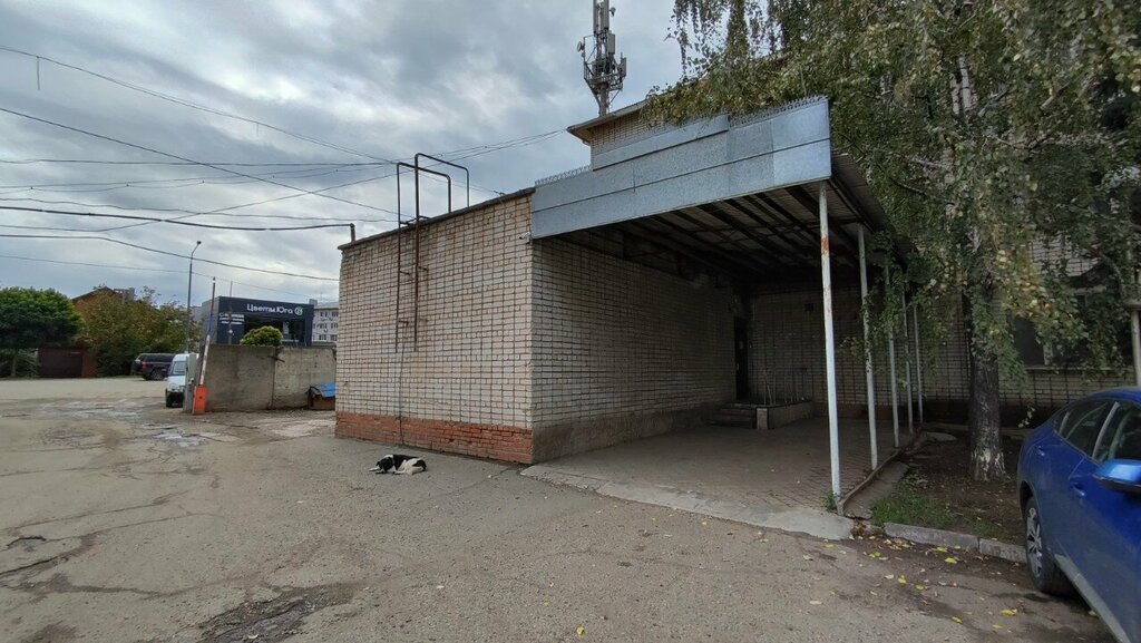 Spor kulüpleri Восток, Krasnodar, foto