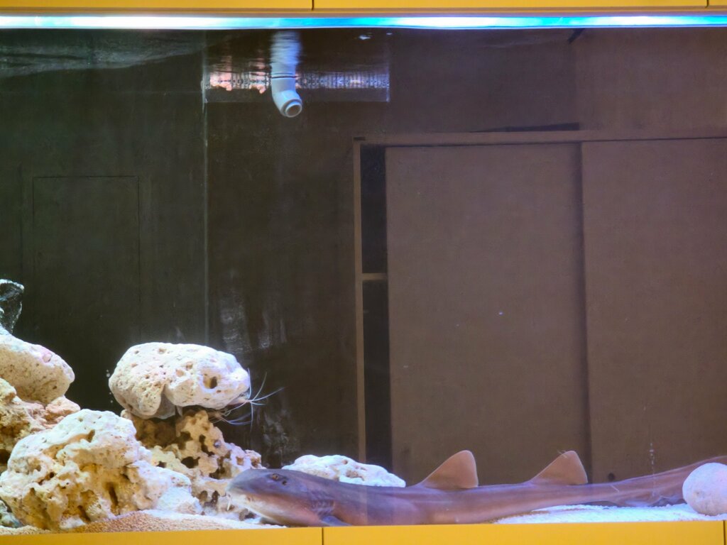 i̇nternet pazarlama şirketi Theta Group, Moskova, foto