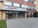 Академия цвета (Chkalova Street No:248), boya ve cila malzemeleri üretim ve satış yerleri  Yekaterinburg'dan