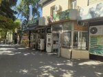 Ателье (Volodarskıı kóshesi No:7), terziler  Çimkent'ten (Şımkent'ten)