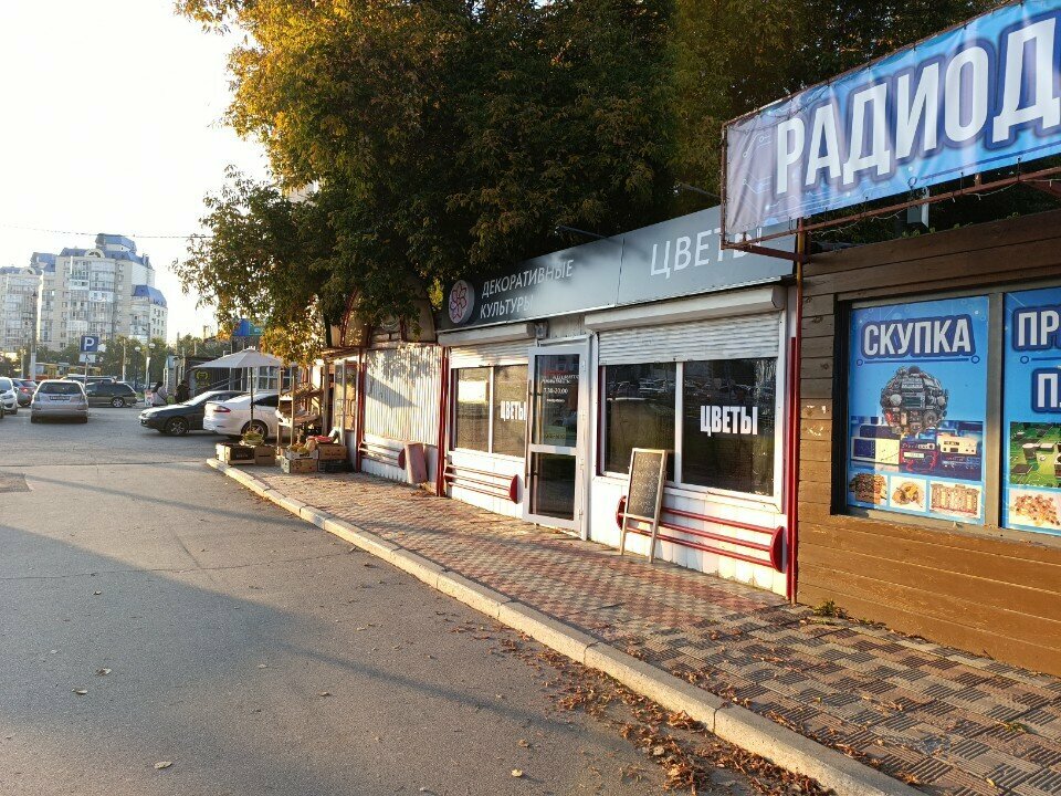 Çiçekçiler Декоративные культуры, Barnaul, foto