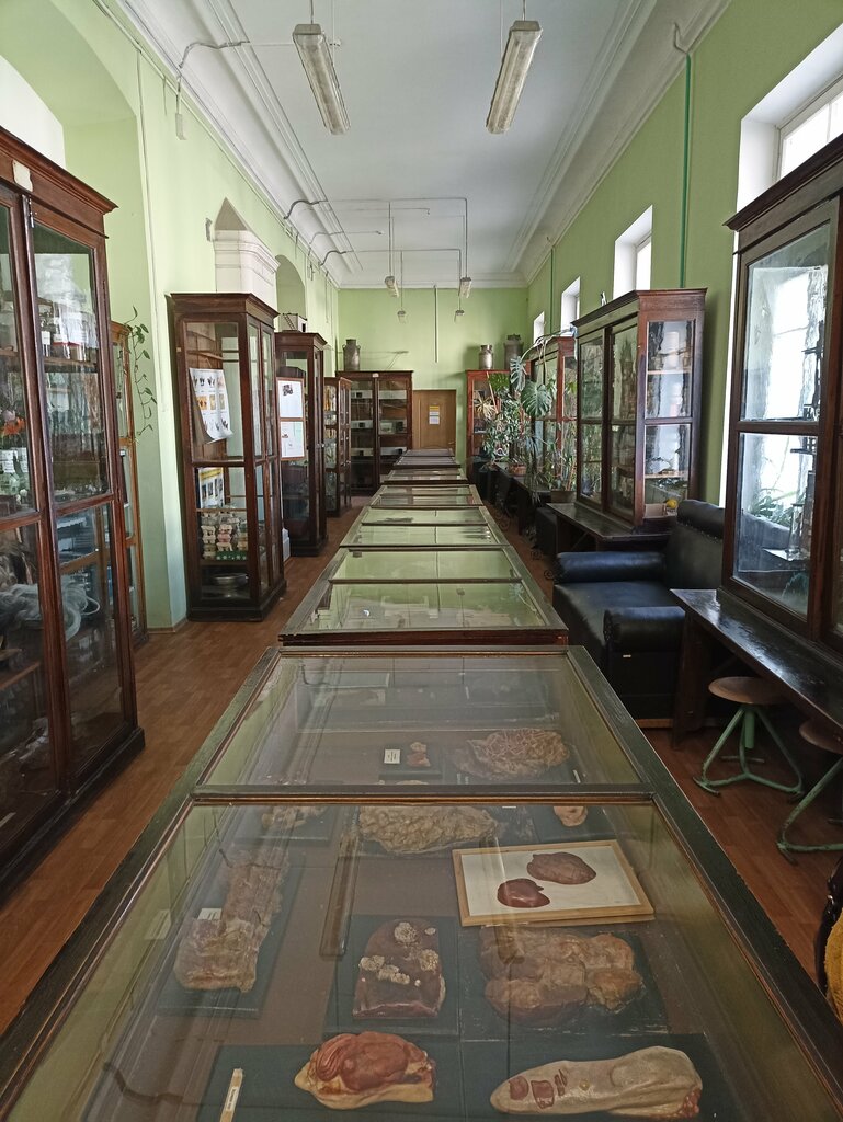 Müzeler ve sanat galerileri Музей Санкт-Петербургского государственного университета ветеринарной медицины, Saint‑Petersburg, foto