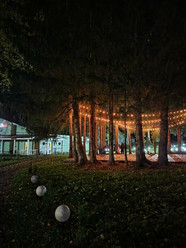 Resort oteller, tesisler Эльгида, Saint‑Petersburg ve Leningradskaya oblastı, foto