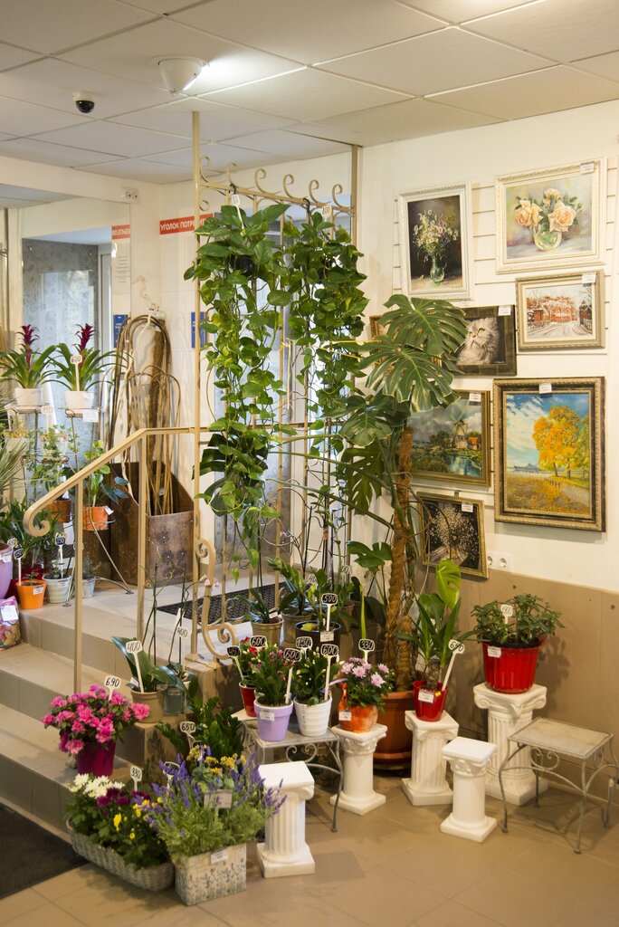 Hediyelik eşya mağazaları Kron souvenir, Kronstadt, foto