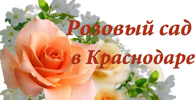 Çiçekçiler Rozovyy sad V Krasnodare, Krasnodar, foto