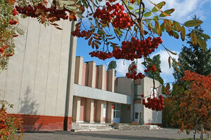 Верхнехавский Дворец Культуры (ulitsa 50 let Oktyabrya No:14, selo Verkhnyaya Khava), kültür ocakları  Voronejskaya oblastından