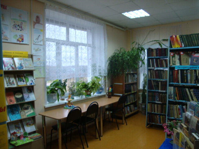 Kütüphaneler Миглинская сельская библиотека, Yaroslavskaya oblastı, foto