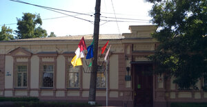 Центральная городская детская библиотека (Mira Street No:100), kütüphaneler  Yeysk'ten
