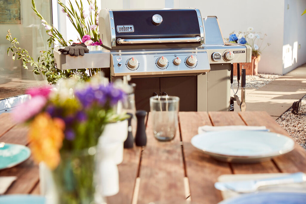 Tatil ve piknik için ürünler Weber-Stephen Vostok, Moskova, foto