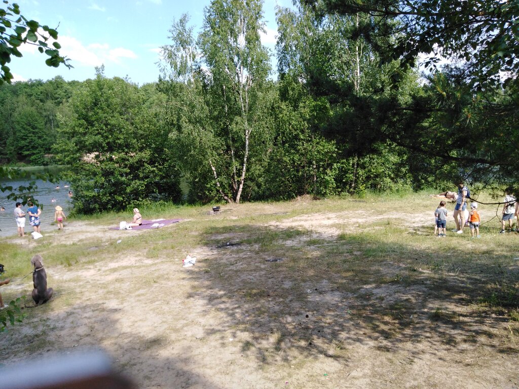 Plaj Пляж, Moskova ve Moskovskaya oblastı, foto