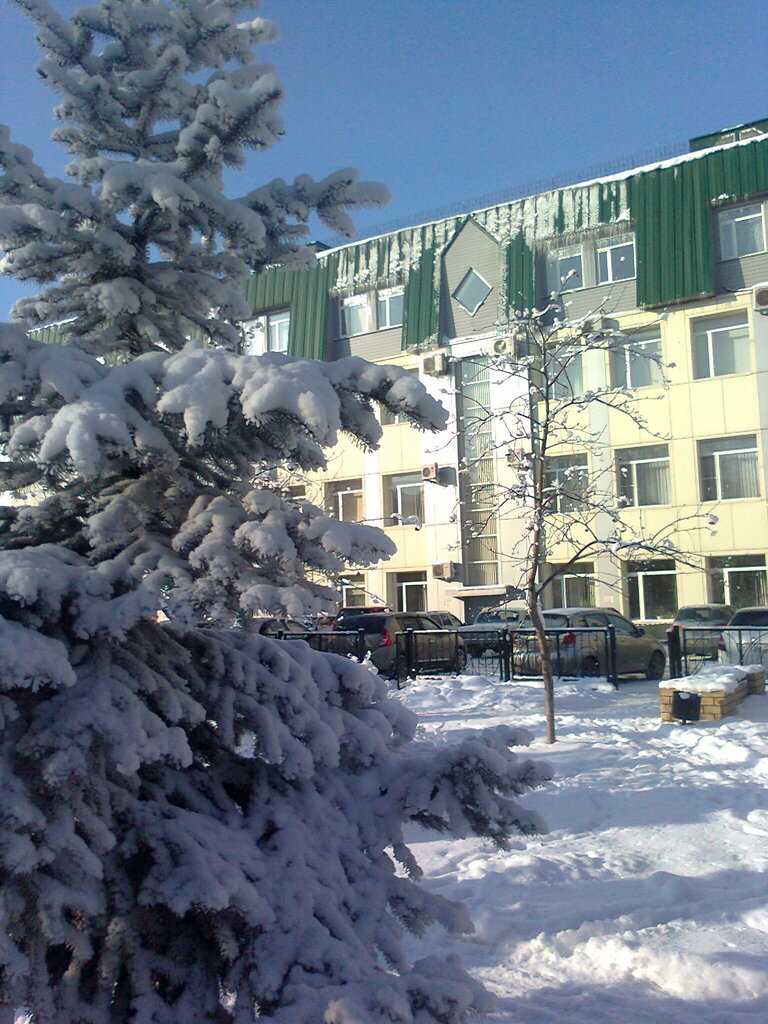 Üniversiteler RANEPA, Lipetsk Branch, Lipetsk, foto