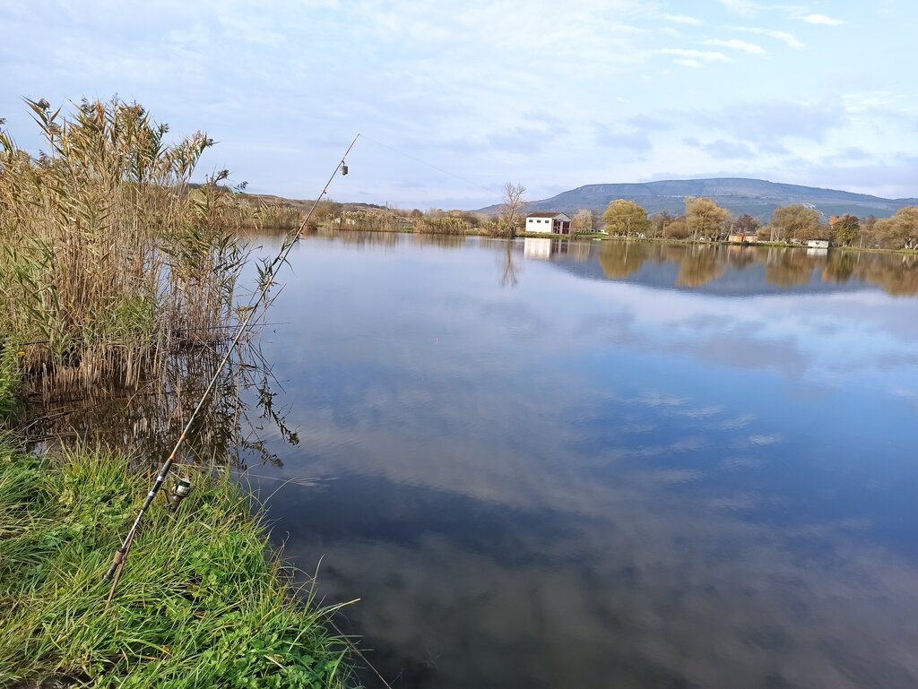 Balık çiftçiliği ve toptancıları Пять озёр, Stavropolski krayı, foto